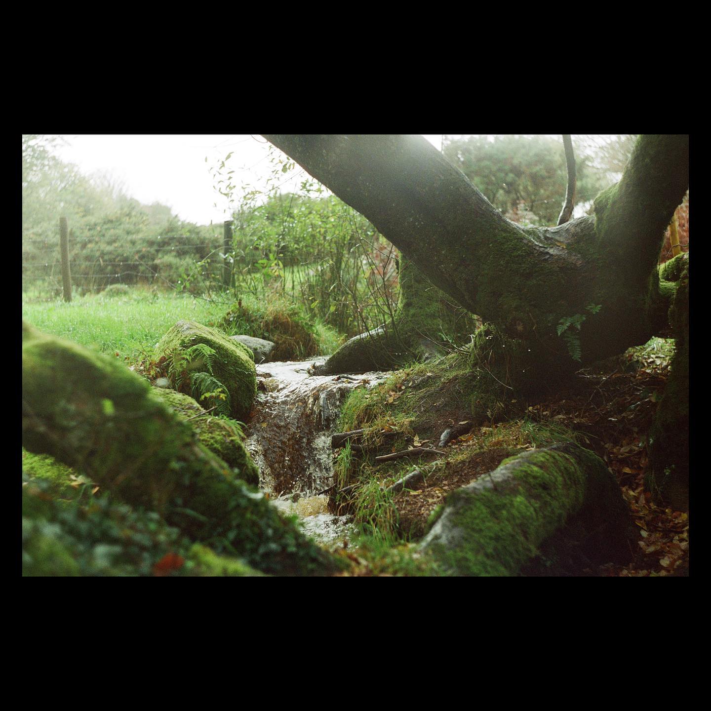 studiodonshades – filmmaking | art | photographs