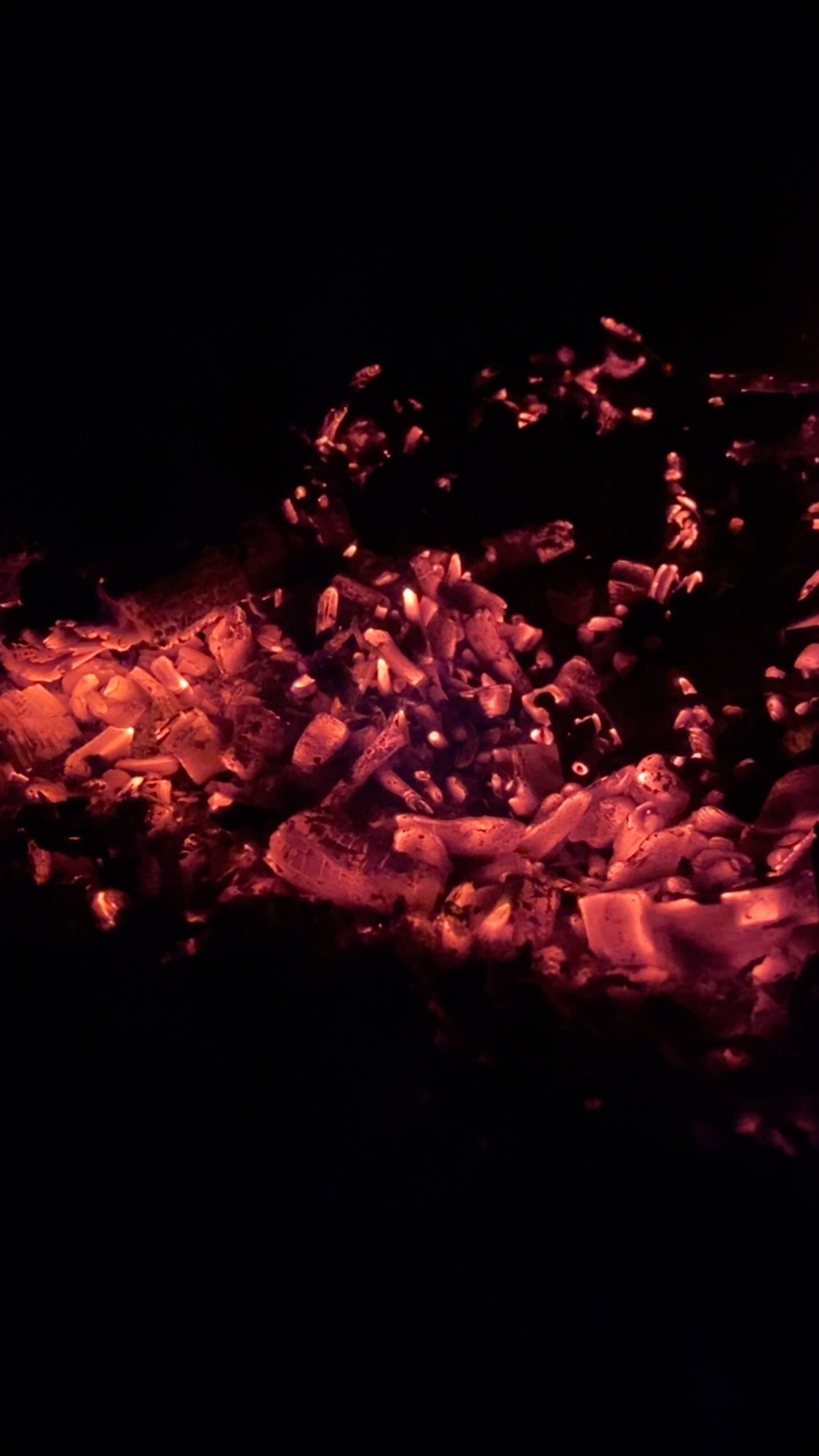 studiodonshades – filmmaking | art | photographs